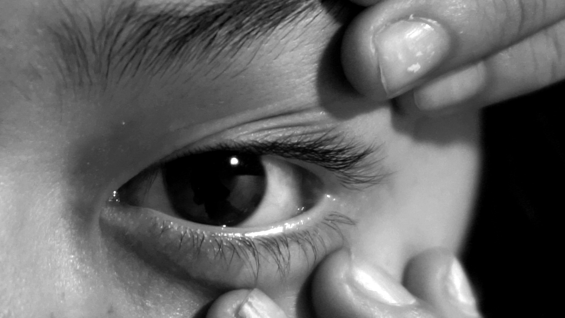 Jeleni | MFDF Ji.hlava