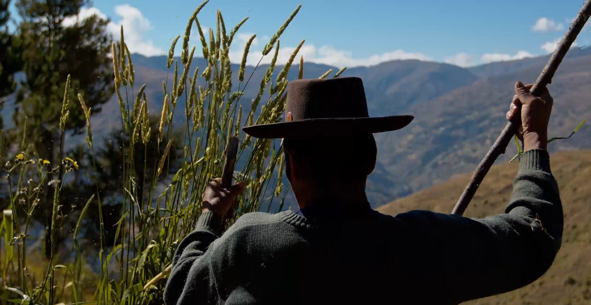 AXOMAMA | MFDF Ji.hlava