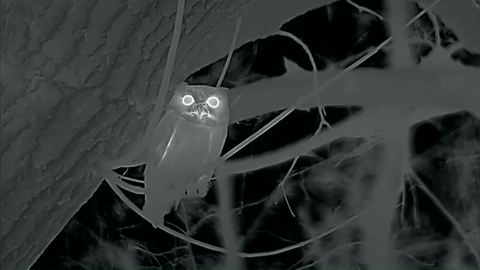 Hypervize | MFDF Ji.hlava