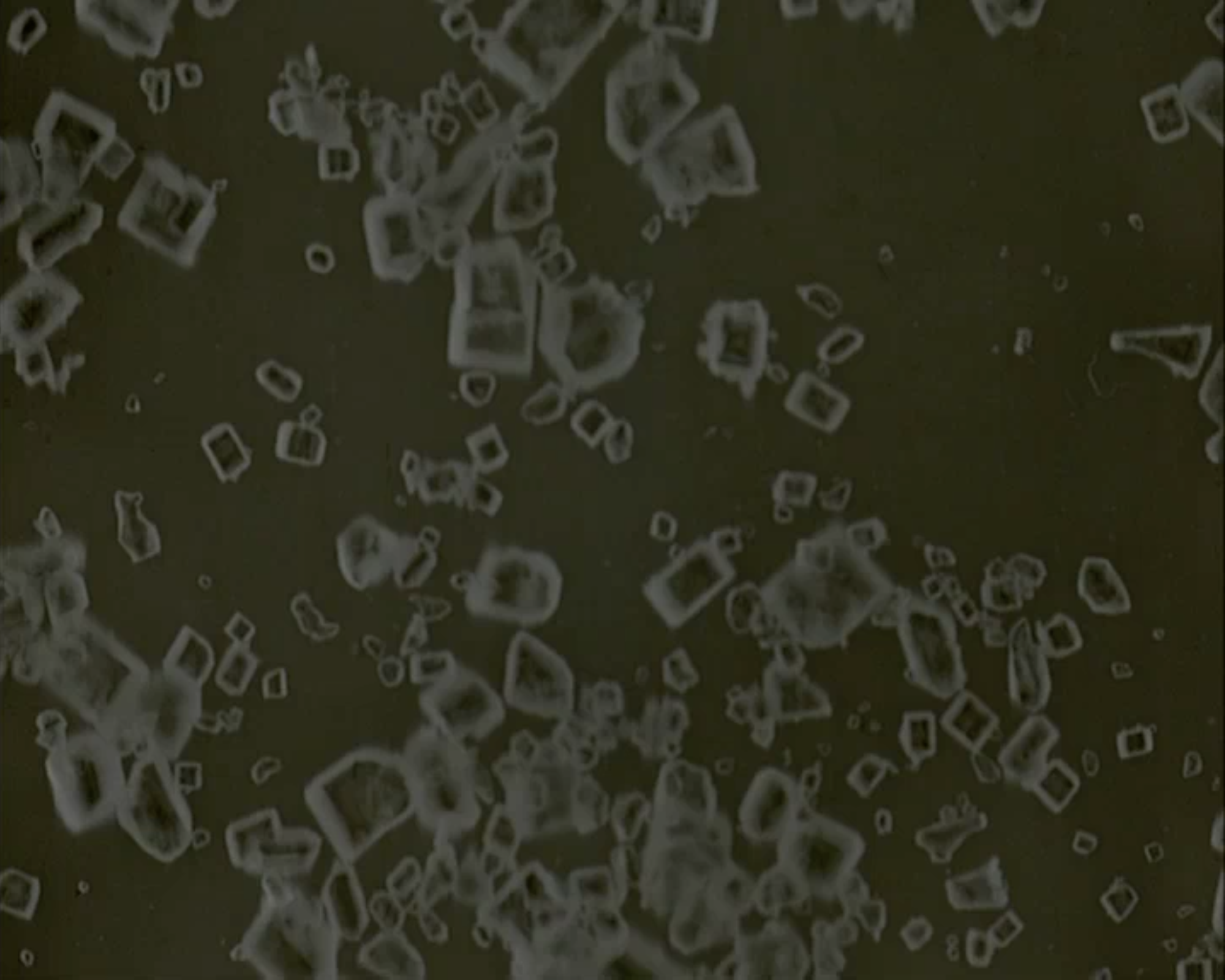 Jídlofilmy | MFDF Ji.hlava