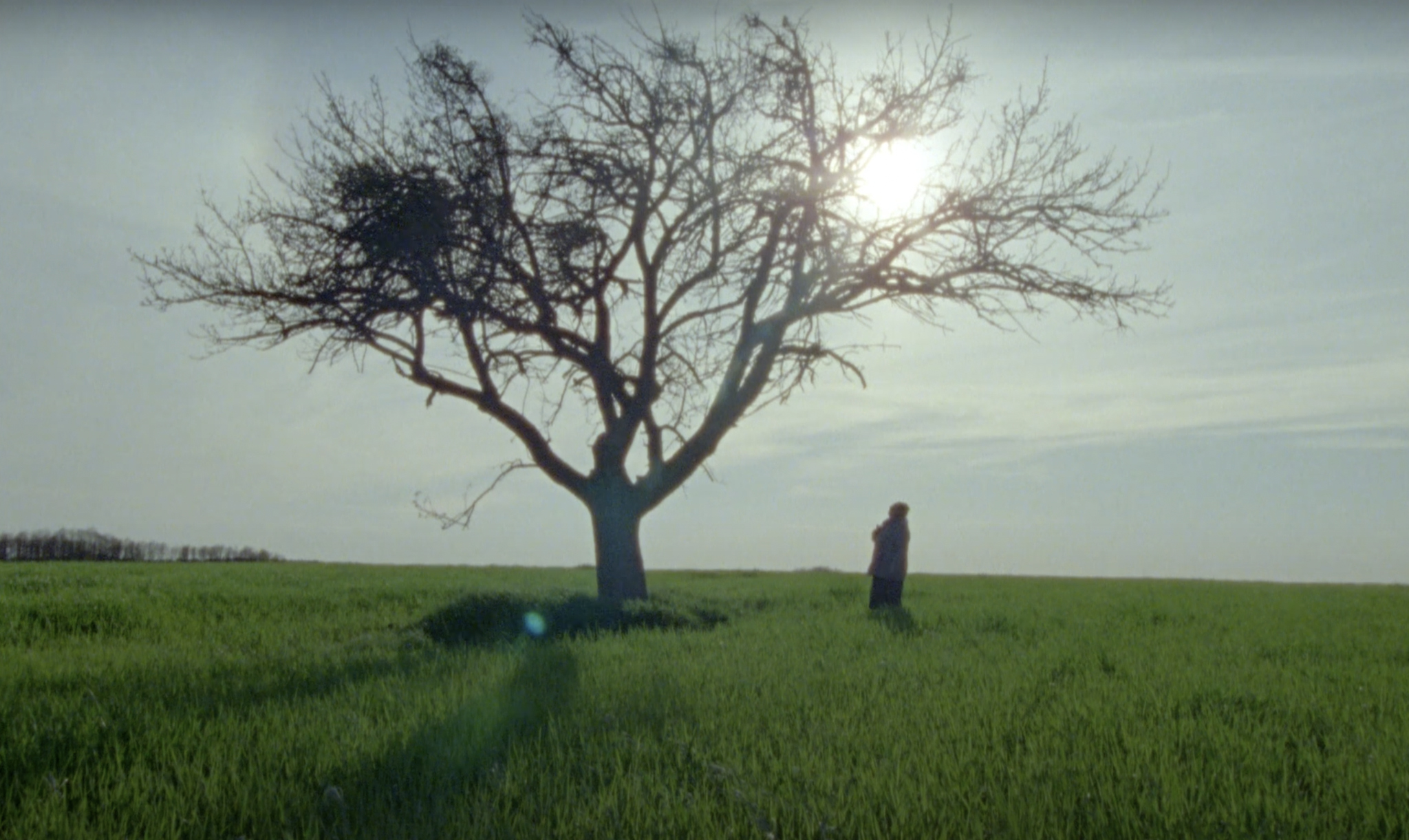 Handful of Dirt | Ji.hlava IDFF